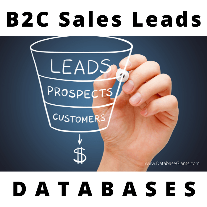 Buy B2C Sales Leads Email Lists and Databases - Business to Consumer